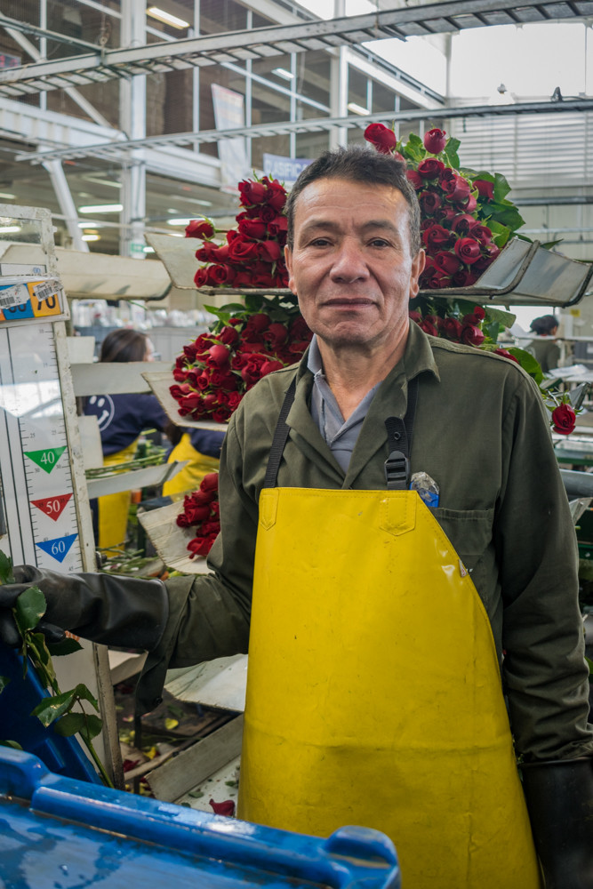 Operario Poscosecha con o sin experiencia para Clasificacion y boncheor